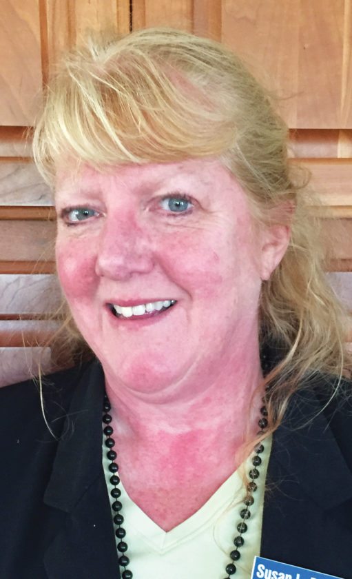 Susan Peacock running for Charlotte Town Clerk | News, Sports, Jobs ...